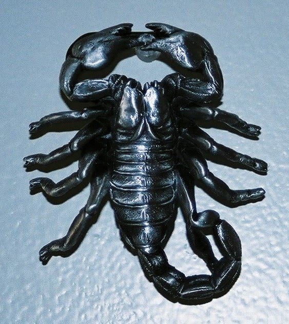 Willow's Web Astrology: Some Scorpionic Guidance From the Vault