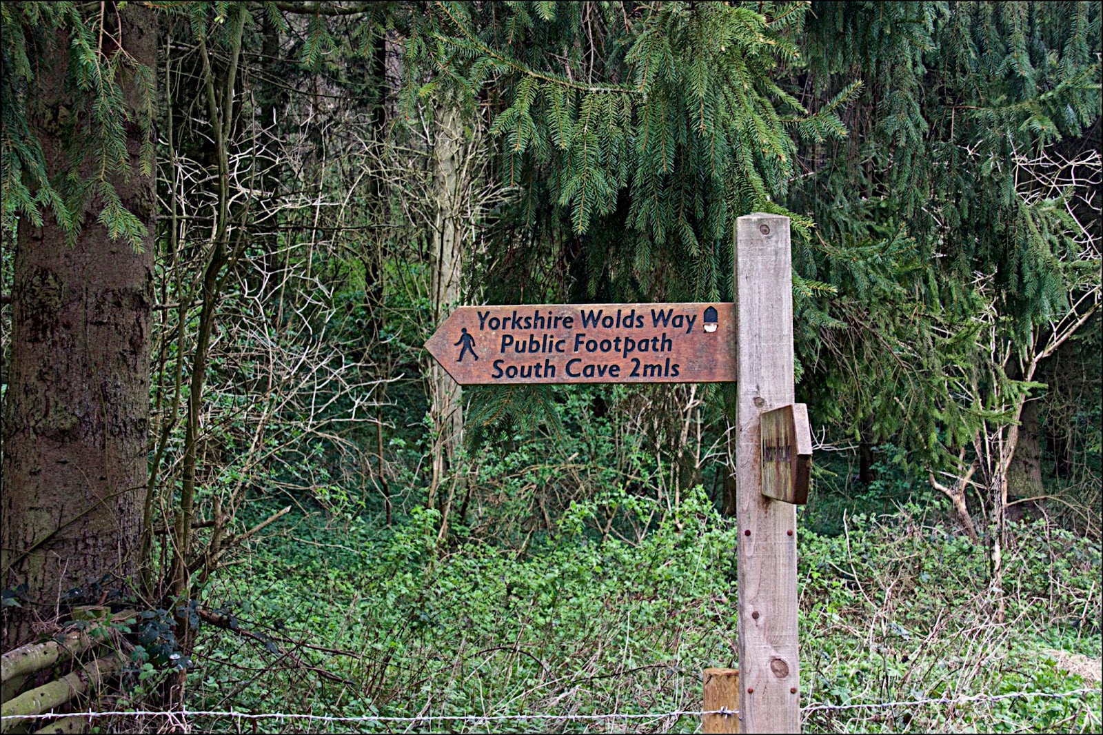 Brian's Blog: Brantingham Dale in Black and White and Colour April 2017