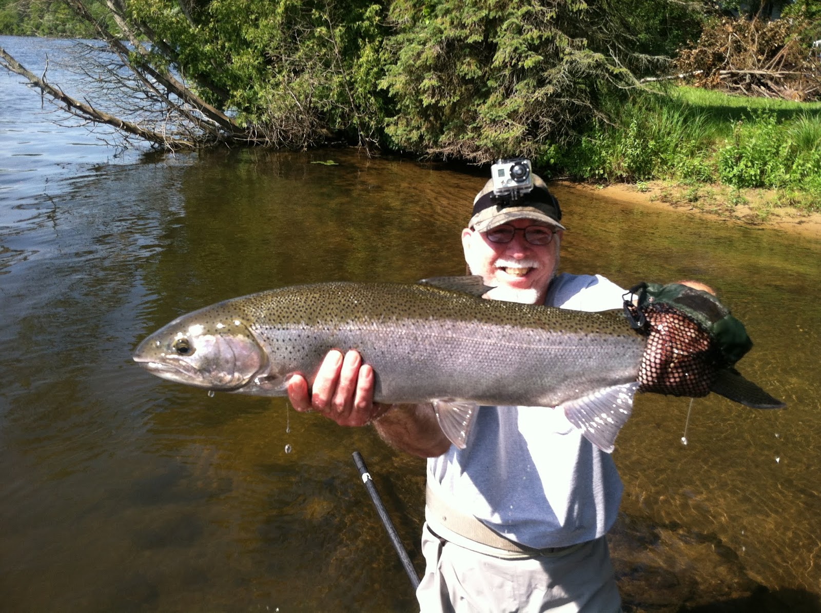 They are back!!!!-Summer Steelhead Great Lakes style!!!-Join in on the ...