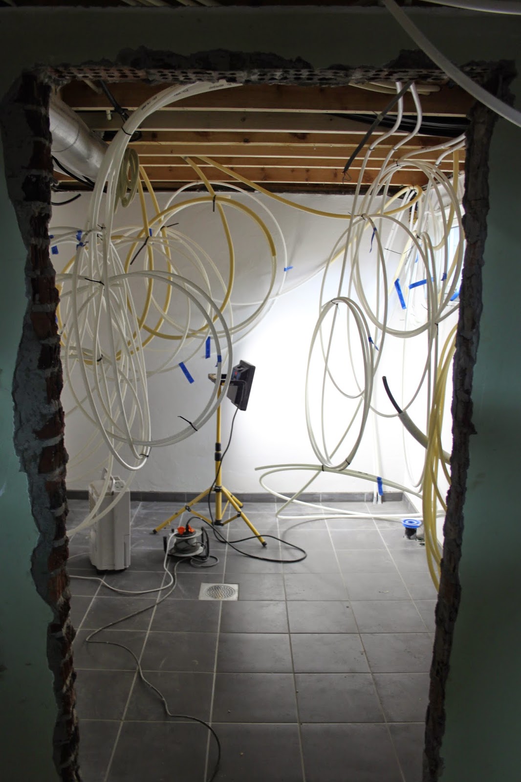 Vår drøm, vårt hus: Teknisk rom - Det glade vanvidd