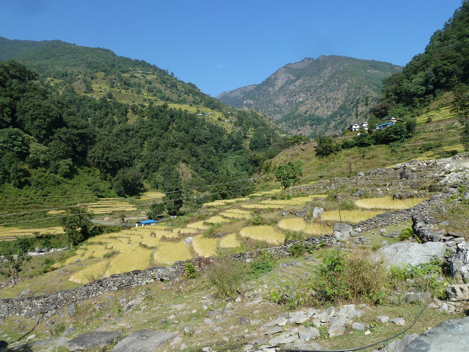 Colin On Sabbatical: Trekking Day 1 - Nayapul to Ulleri