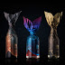 Fish Club Wine on Packaging of the World - Creative Package Design Gallery