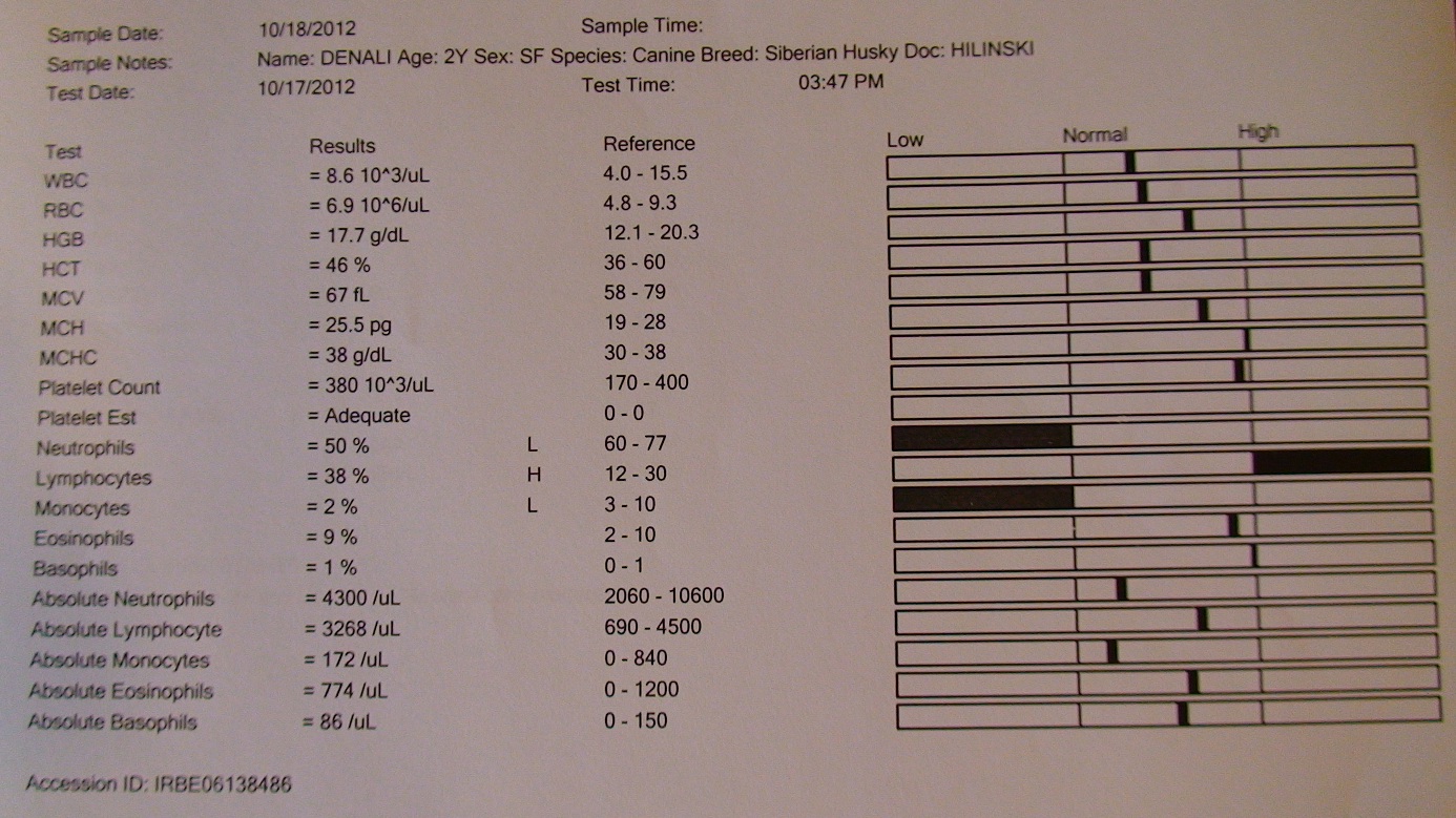 The Super Awesome Blog of Dogventuring: Blood Levels of Raw Fed Dogs