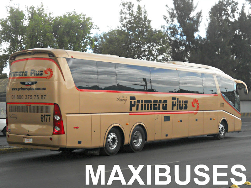 MAXIBUSES: PRIMERA PLUS