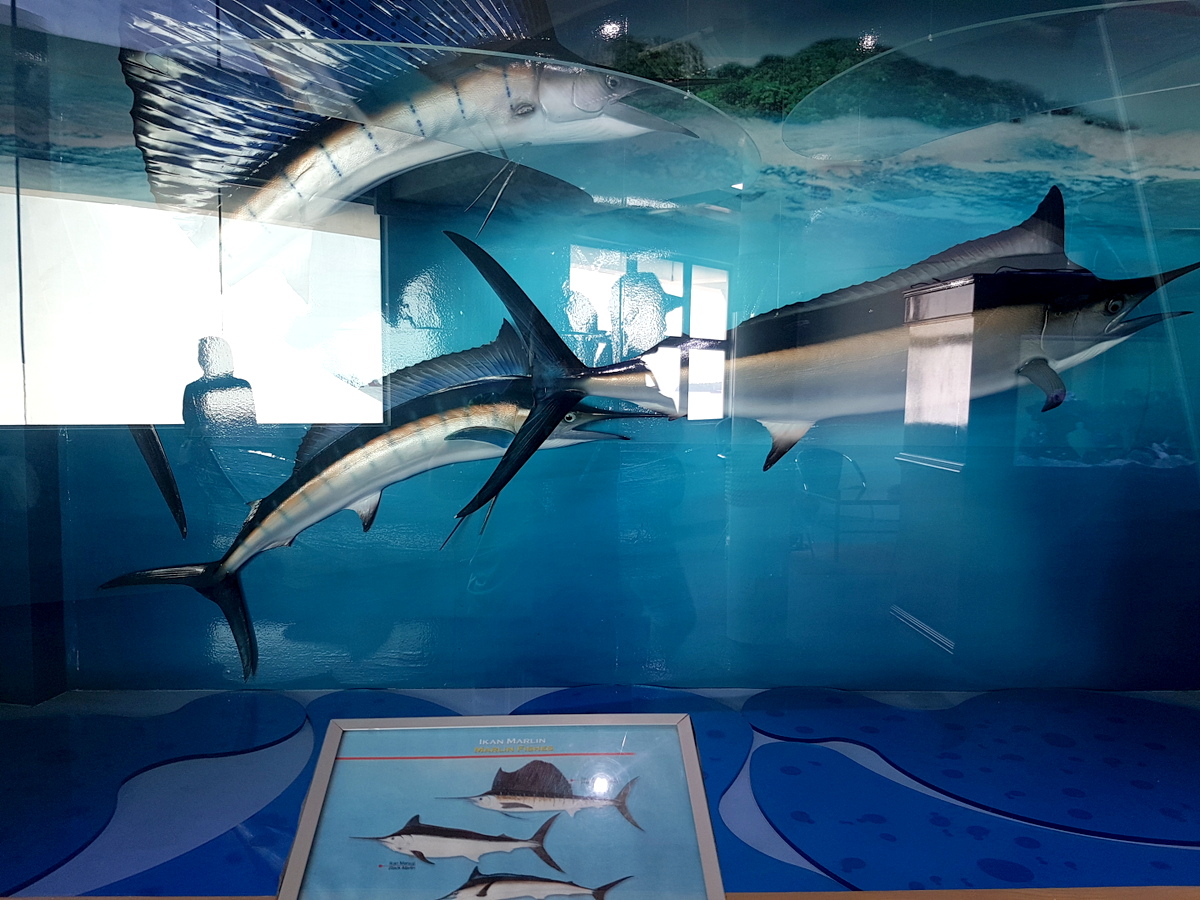 Travelholic: Labuan Marine Museum