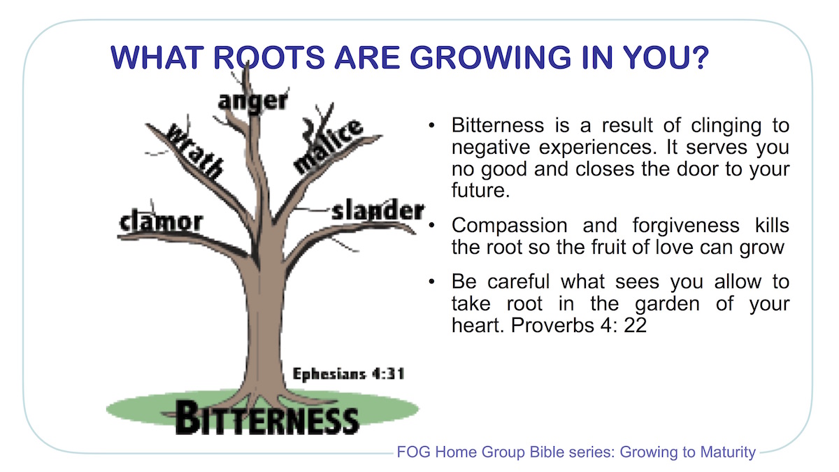 Faith Forward: Turn your Bitterness into Mercy