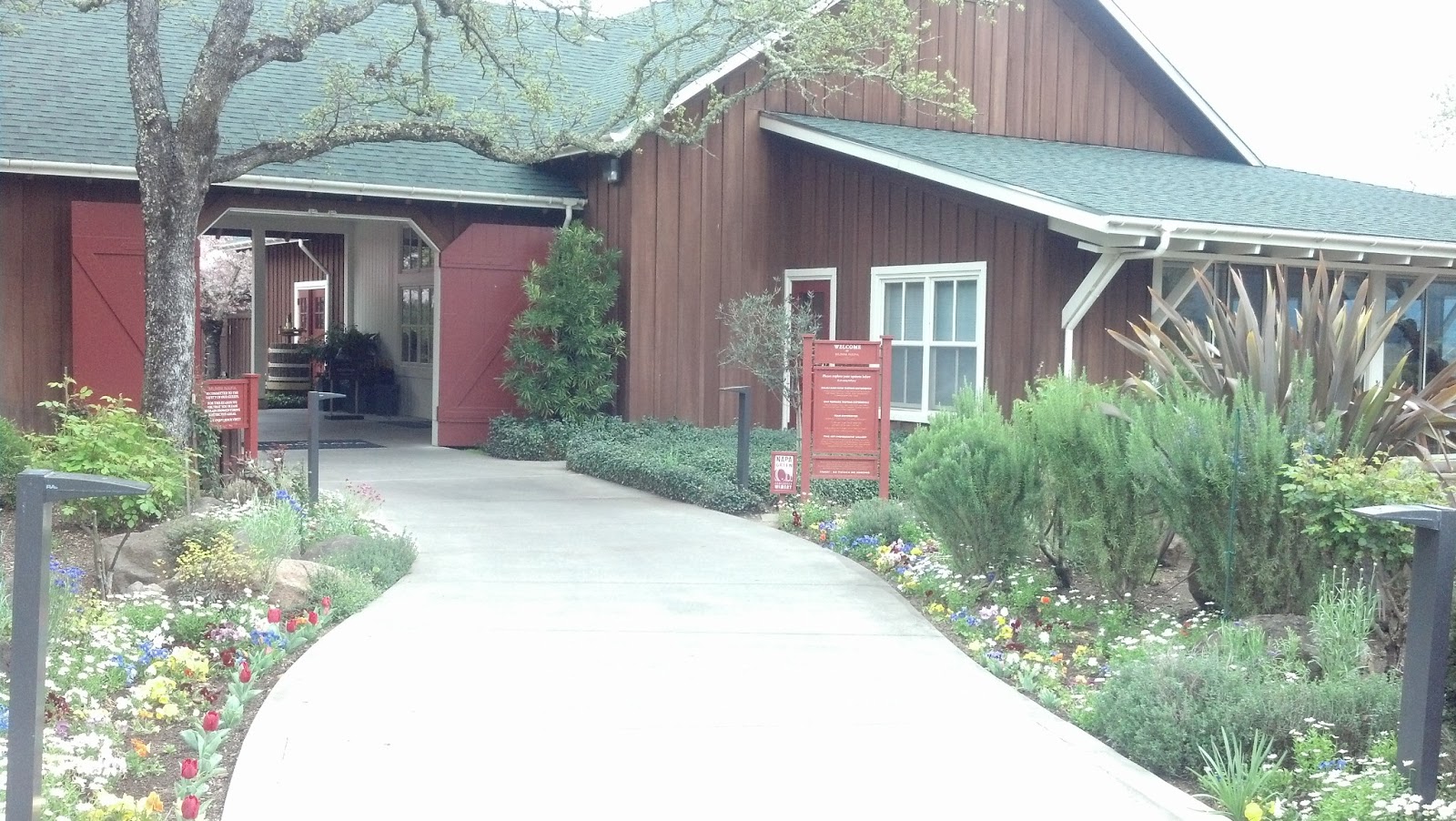 A Special Sparkling Wine and Cheese Picnic in Sonoma | My Sweet ...