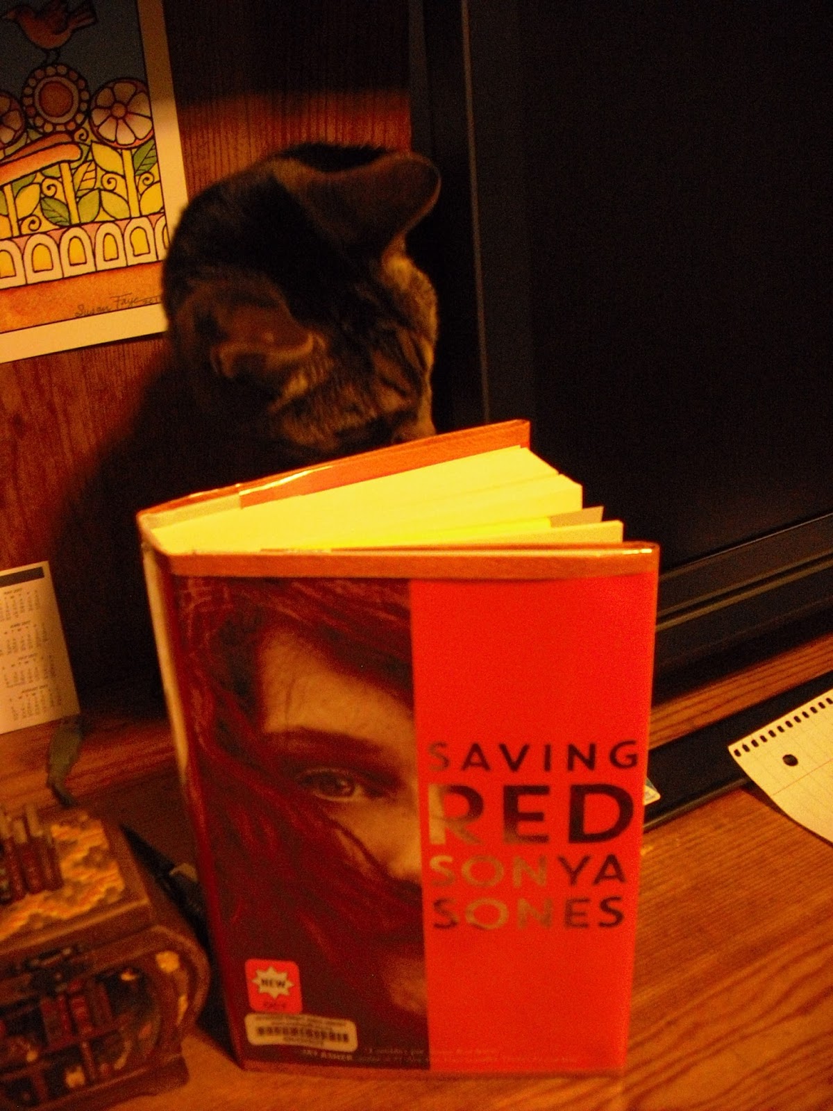 Grab A Book From Our Stack: "Saving Red" by Sonya Sones is a "Feel-Good ...
