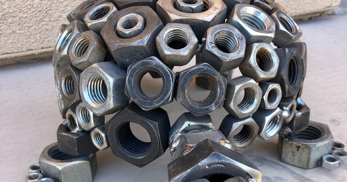 The Daily Rant: Tip-Top Turtle