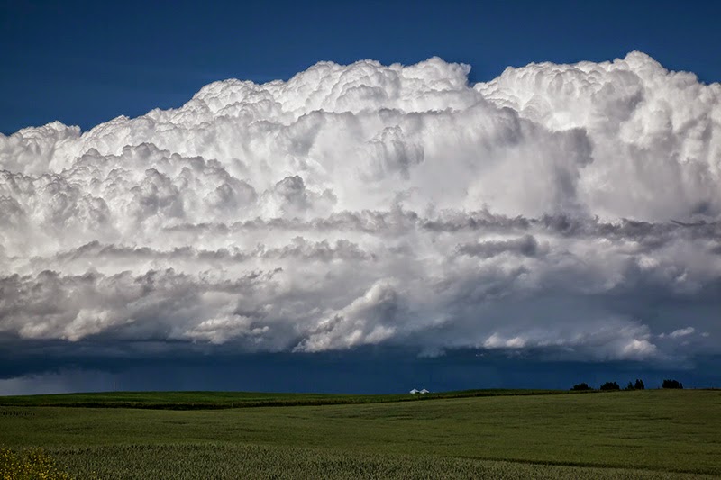 Imagen blogging: Cumulus Congestus Cloud Over Okotoks