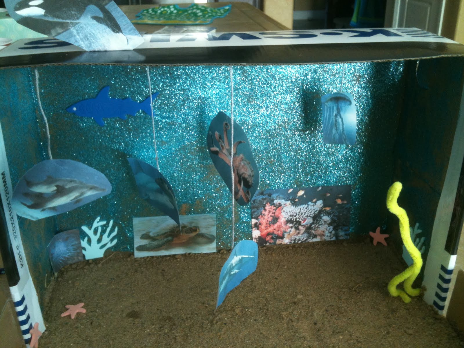 Diverging Lives: Ocean Diorama