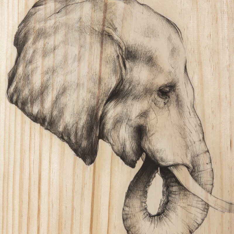 Design Stack: A Blog about Art, Design and Architecture: Animal ...