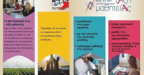 ΕΠΑγγελματικό Λύκειο ΚΑΝΤΑΝΟΥ: ΘΕΣΕΙΣ ΜΑΘΗΤΕΙΑΣ ΣΤΟ Ν.ΧΑΝΙΩΝ & ΕΝΤΥΠΑ