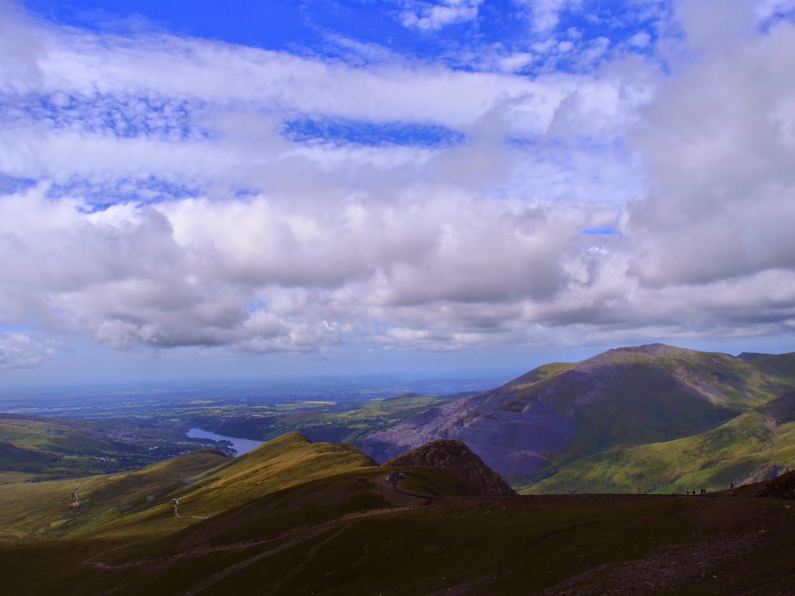 The VegHog: Black Dragon – Traditional Welsh Farmhouse Cider