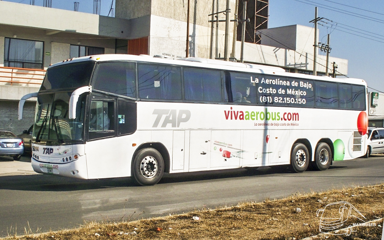 MAXIBUSES: TRANSPORTES Y AUTOBUSES DEL PACÍFICO (TAP)