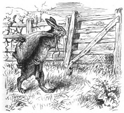 BRER RABBIT: TALES of a TRICKSTER: C015. Brer Rabbit Dead in the Road