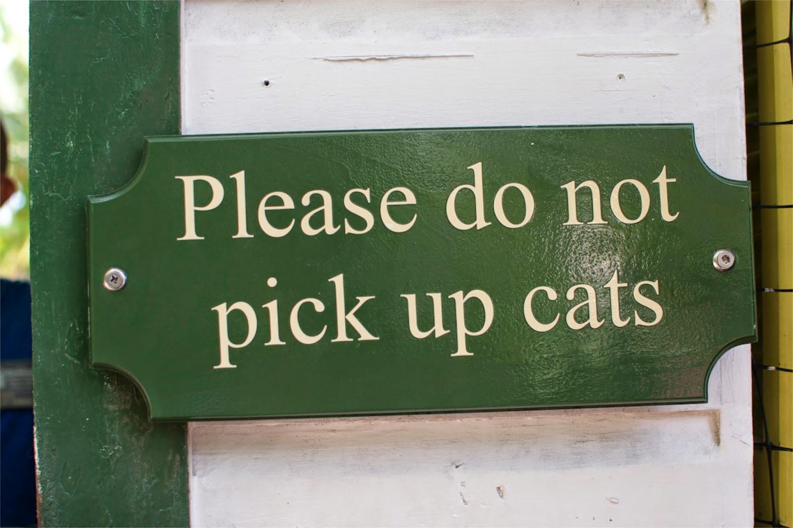 Thousands of Cadillacs: Honeymooning In Key West Part 3: The Importance ...