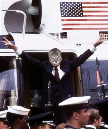 Nixon the Cat