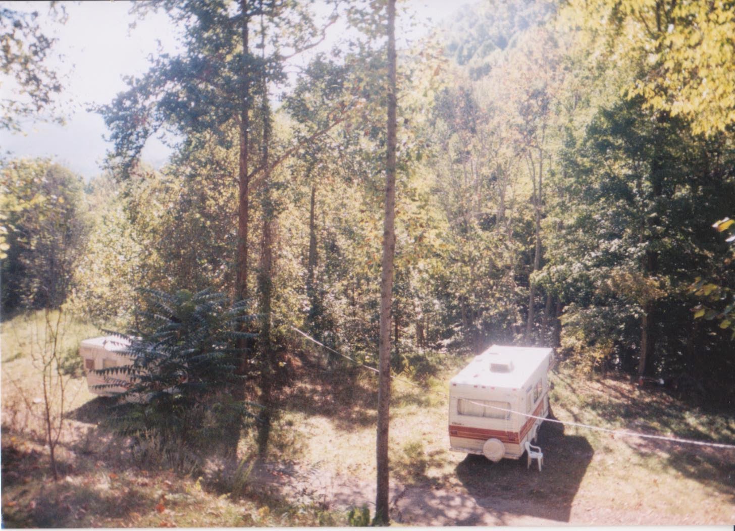 The Linefork Years: Introduction