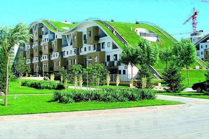 Mechanical Engineering: Go Green - Building with a green roof