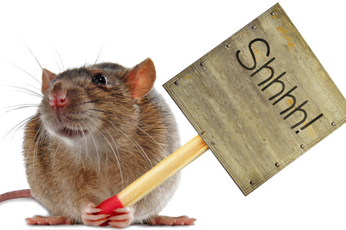 Quiet As A Mouse Quotes. QuotesGram