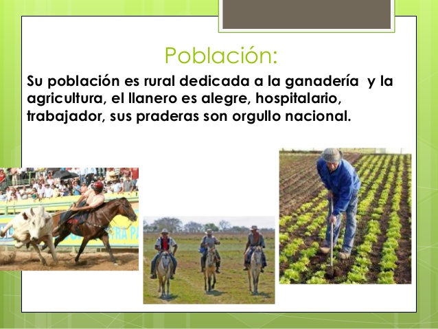 REGIONES NATURALES DE COLOMBIA: REGIÓN ORINOQUIA