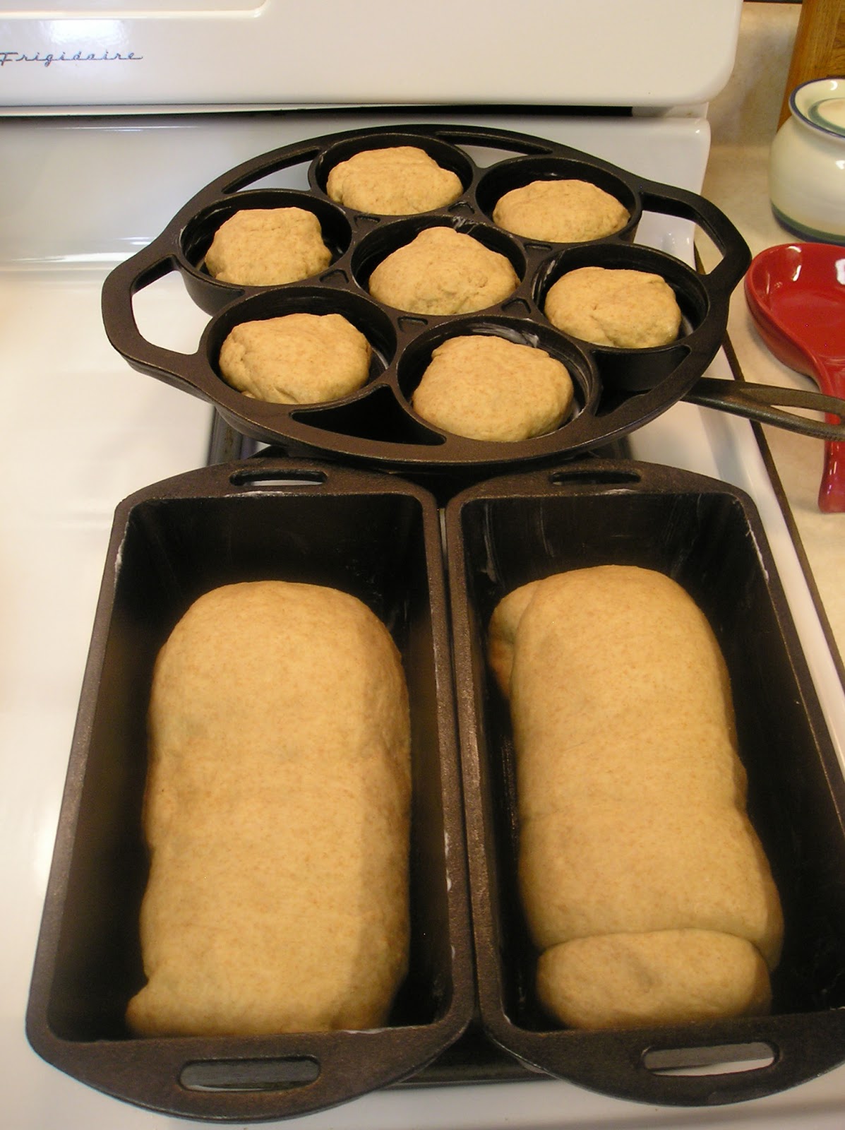 Thoughts from Frank and Fern: Making Whole Wheat Bread