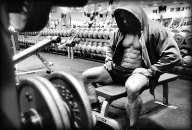 The Thoughts of a Big Brown Bear....: Faleev’s 80/20 Routine....