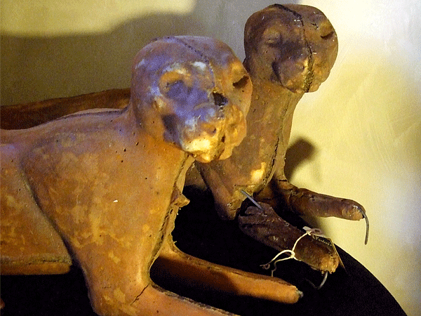 Pandora's Parlor: Vintage Taxidermy Bobcat Forms