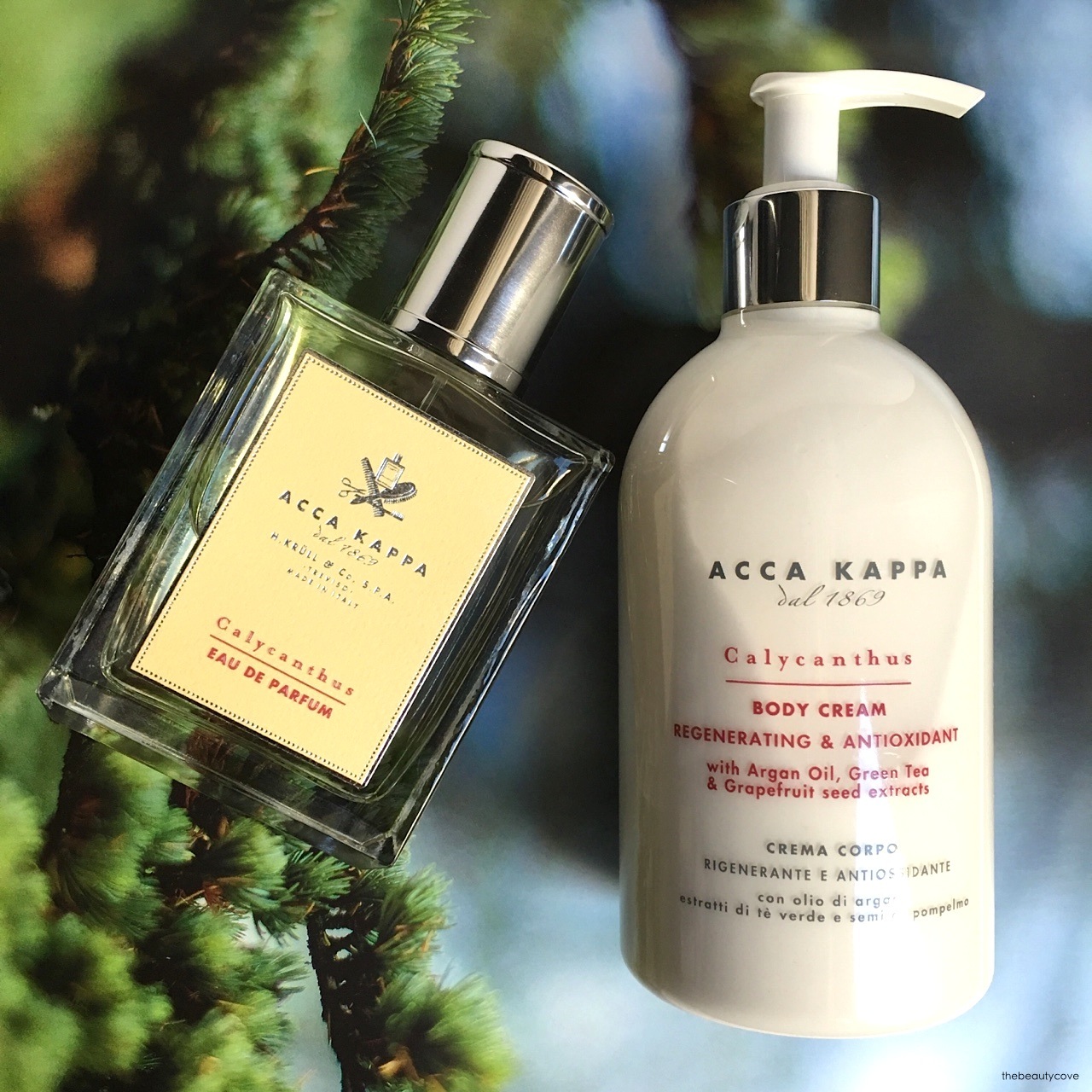 The Beauty Cove: IL PROFUMO: CALYCANTHUS di ACCA KAPPA