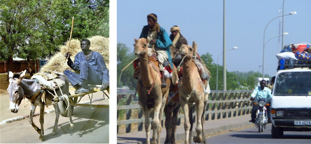Bill's Excellent Adventures: Niger & Chad