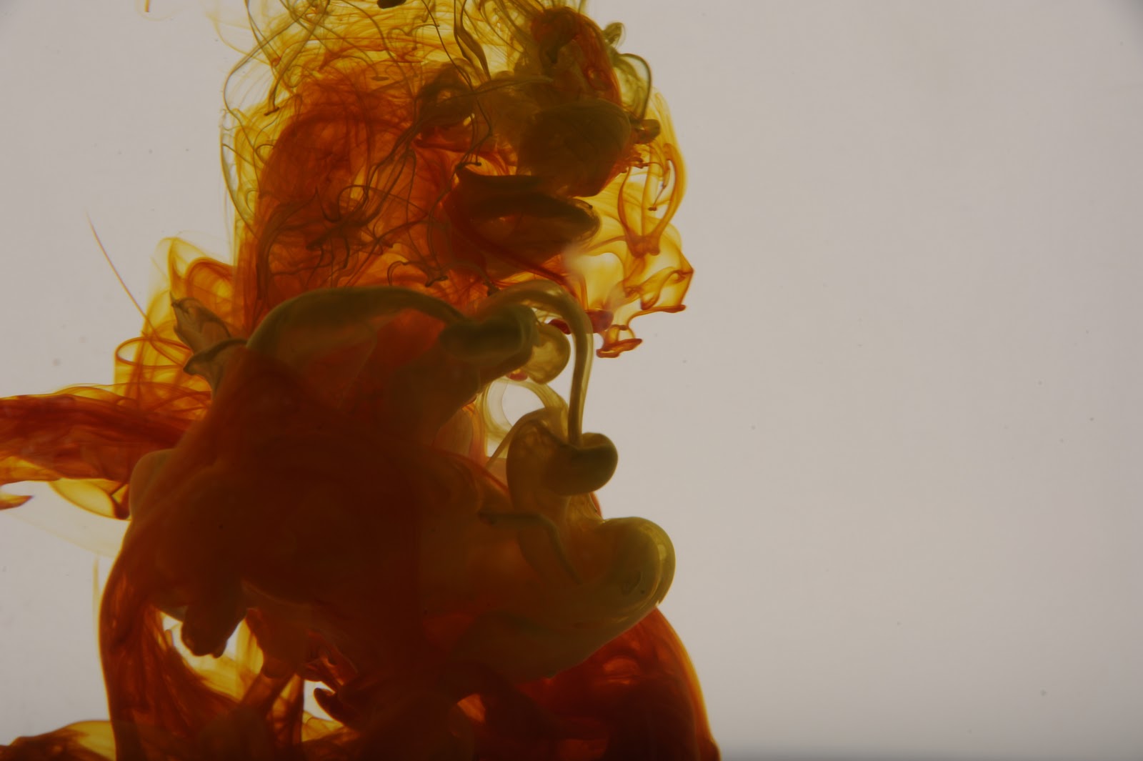 When I'm alone, dream on the horizon..: Acrylic ink and water.