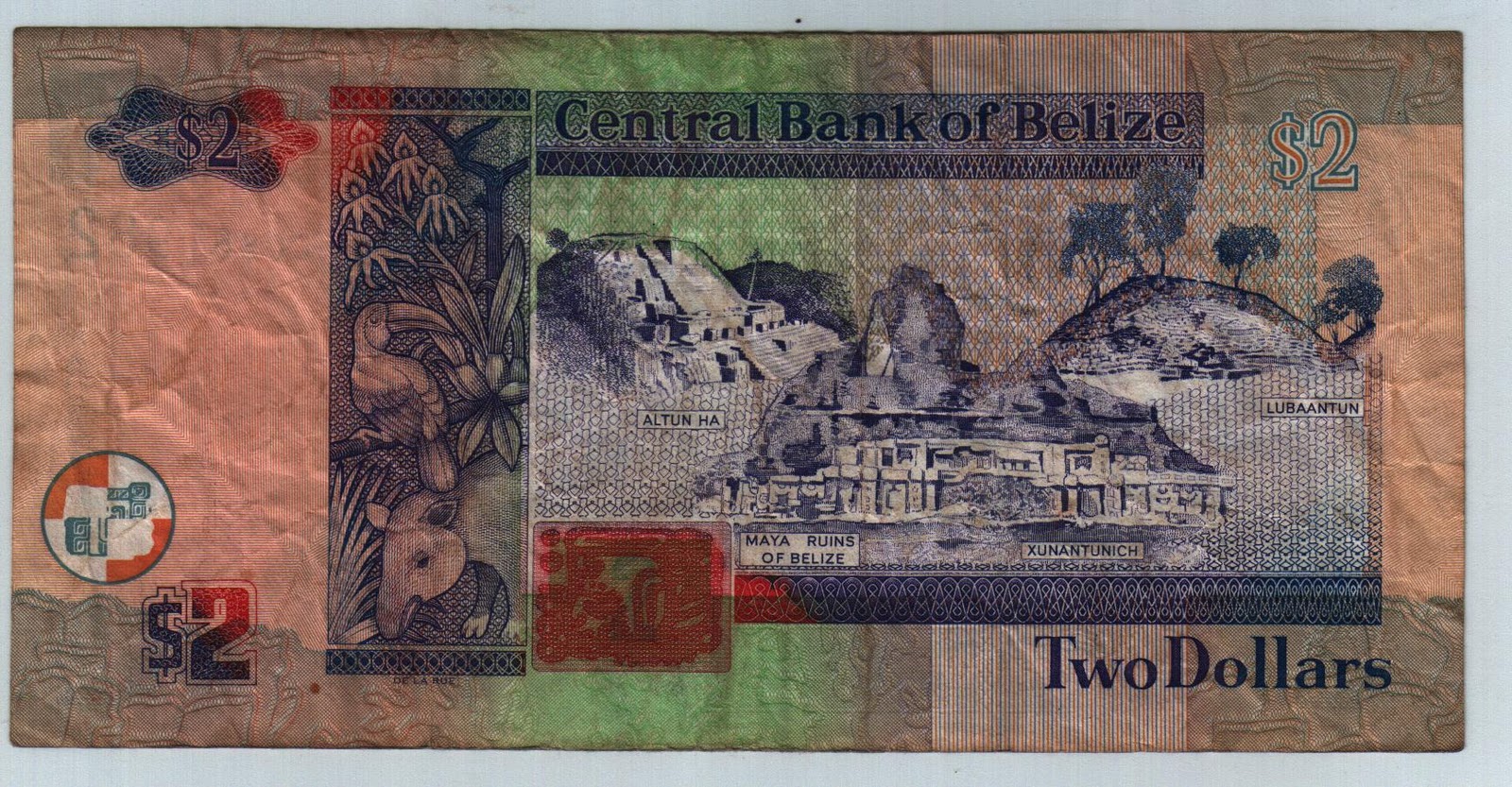 The private collection of banknotes from around the countries in the ...