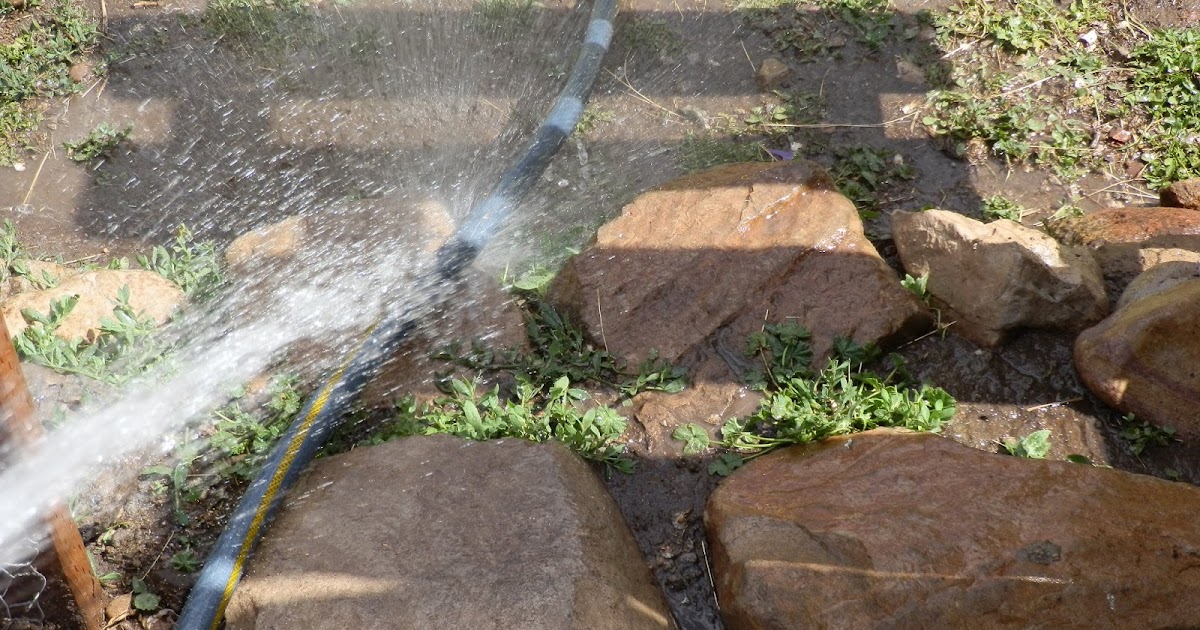 Our Bit of Dirt: Cleaning & Composting