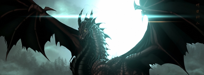 Dragon Facebook Covers - Học tiếng nhật, java và mọi thứ