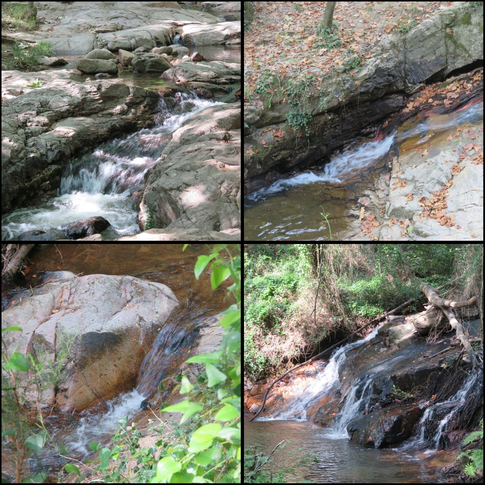 PARC MEDIAMBIENTAL DE GUALBA