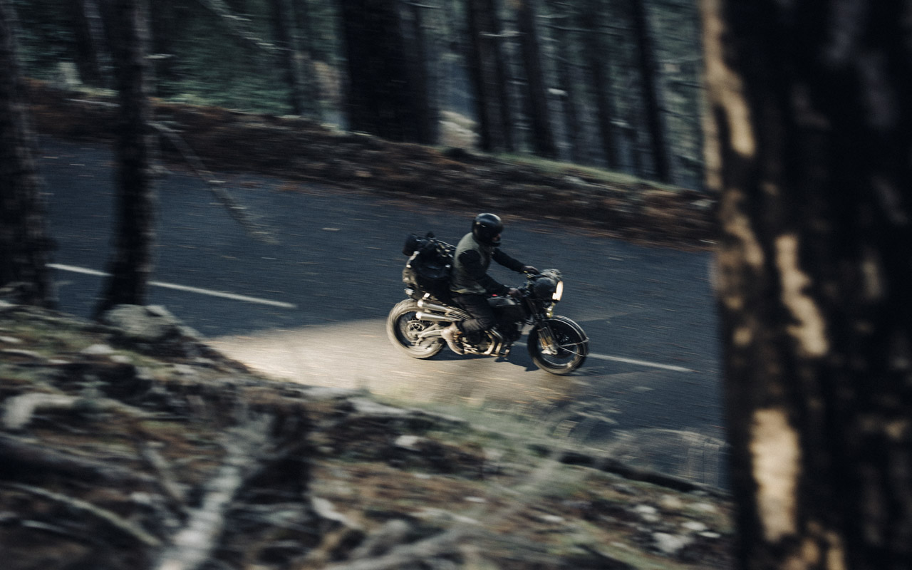 LE CONTAINER: Don Papa Ride! dav.