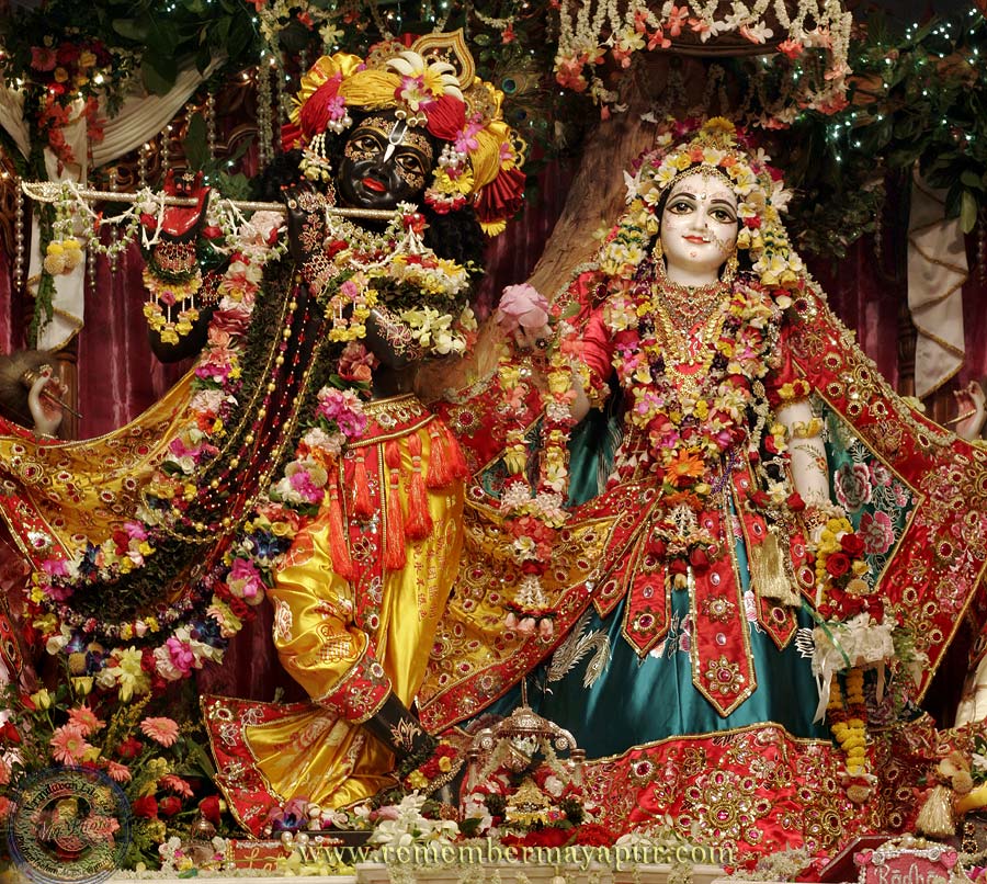 Radhastami Darshan 2011, Sri Dham Mayapur!!! : Krishna