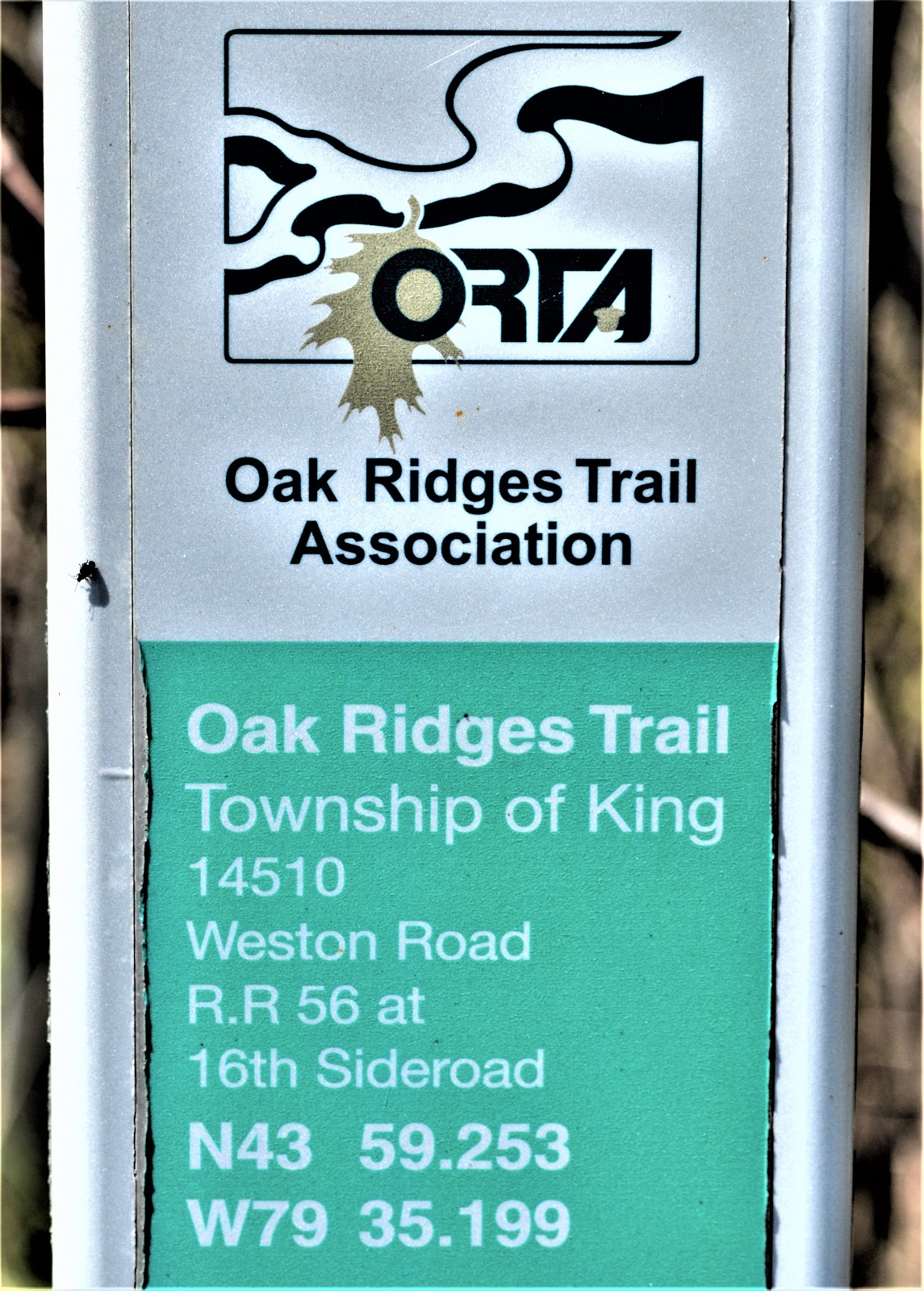 Camera on King & Aurora : Oak Ridges Trail between Weston Rd. & the 7th