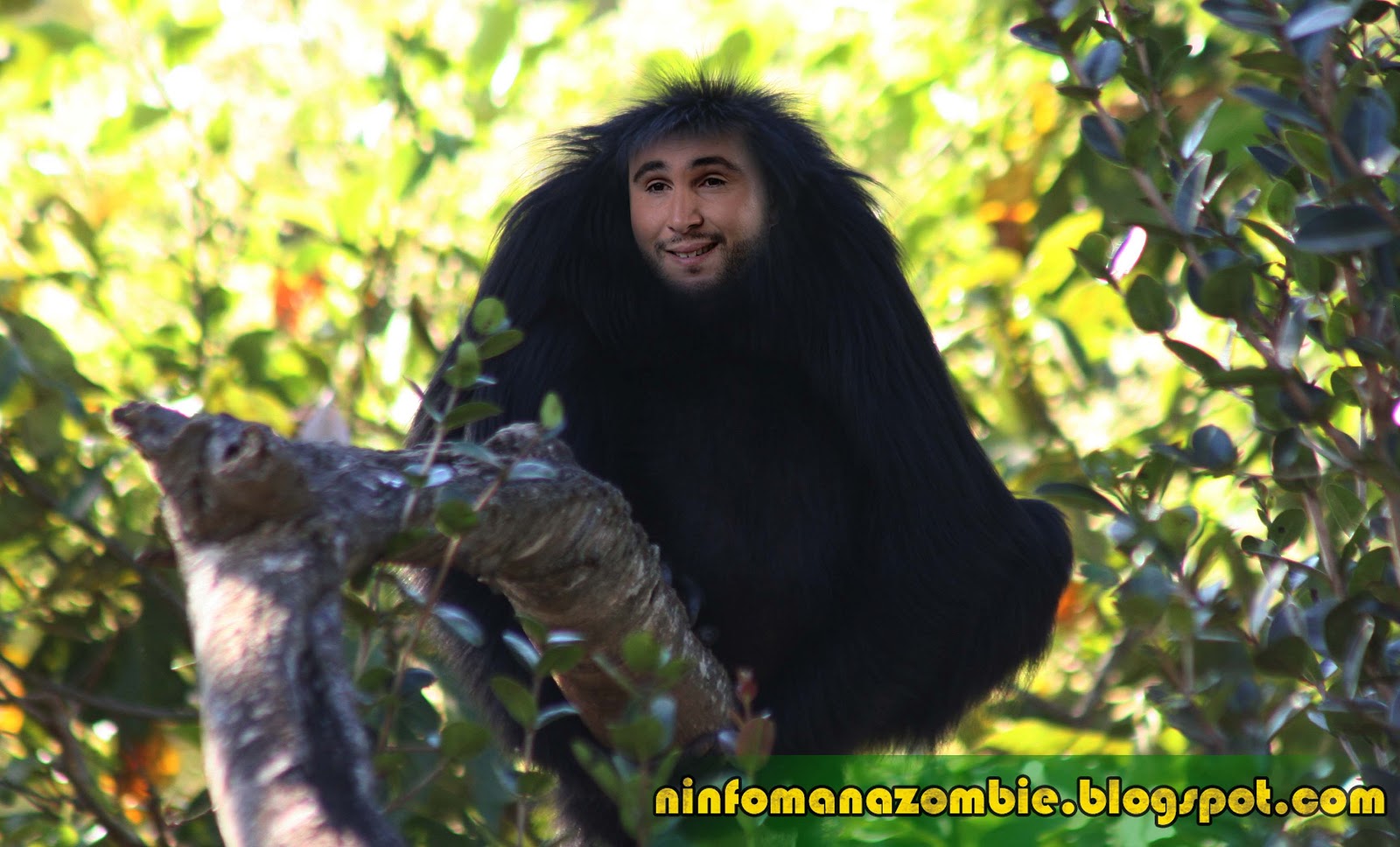 Ninfómana Zombie: Encontrada una nueva especie de macaco al sur de la ...