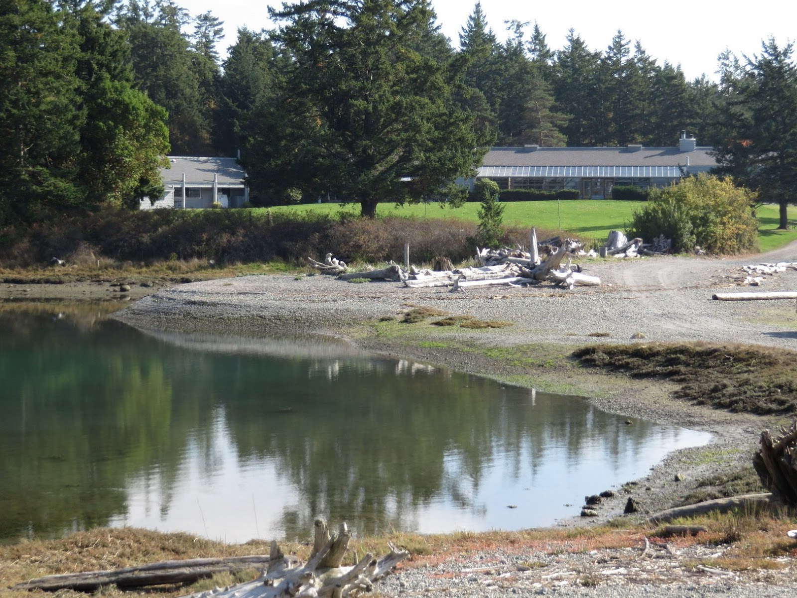 Gravel Beach: Lone Tree Point