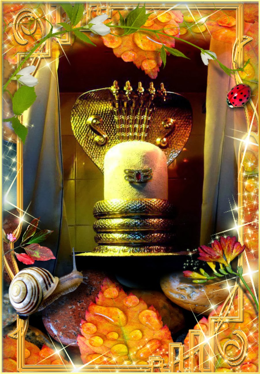 India Temple Tour: Thiru Manikkavasagar's Thiruvempavai - 4