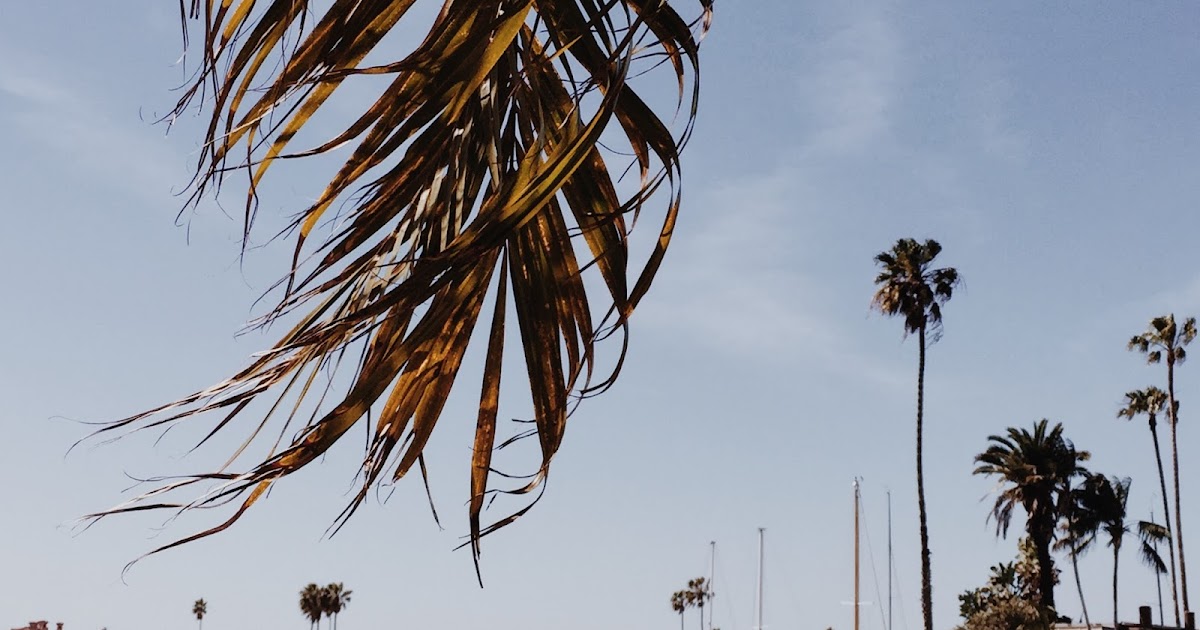 Weekend Festivities | StephC