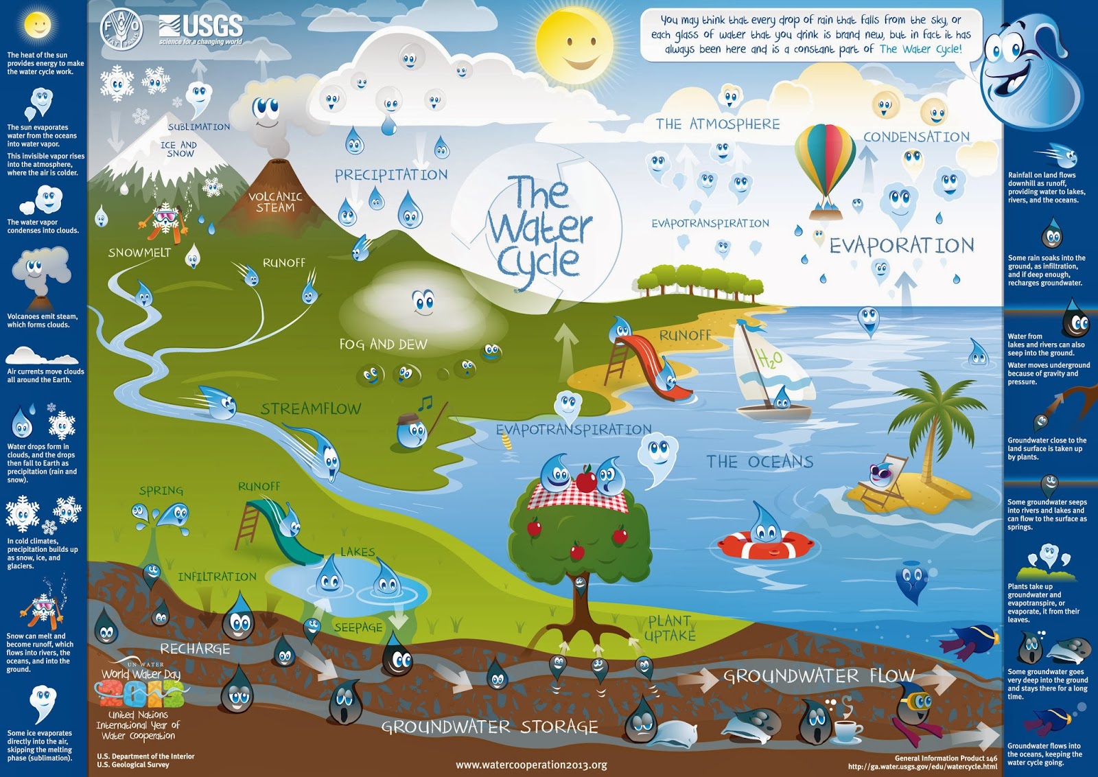 Save Water, Save Life: The Water Cycle
