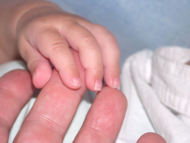 Year 5 blog: El sentido del tacto