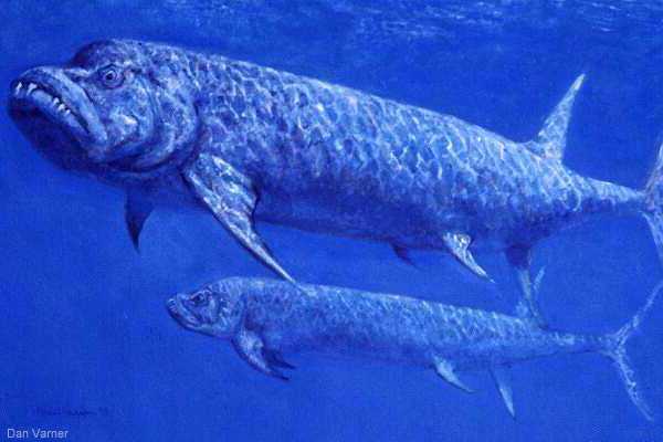 Extinct Animal of the Week: February 2013