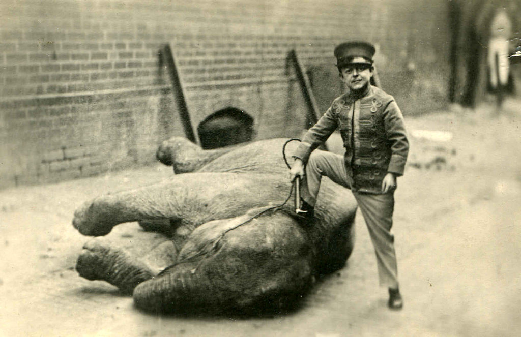 24 Cozy Snapshots of Circus Performers at the Backstage in the 1920s ...