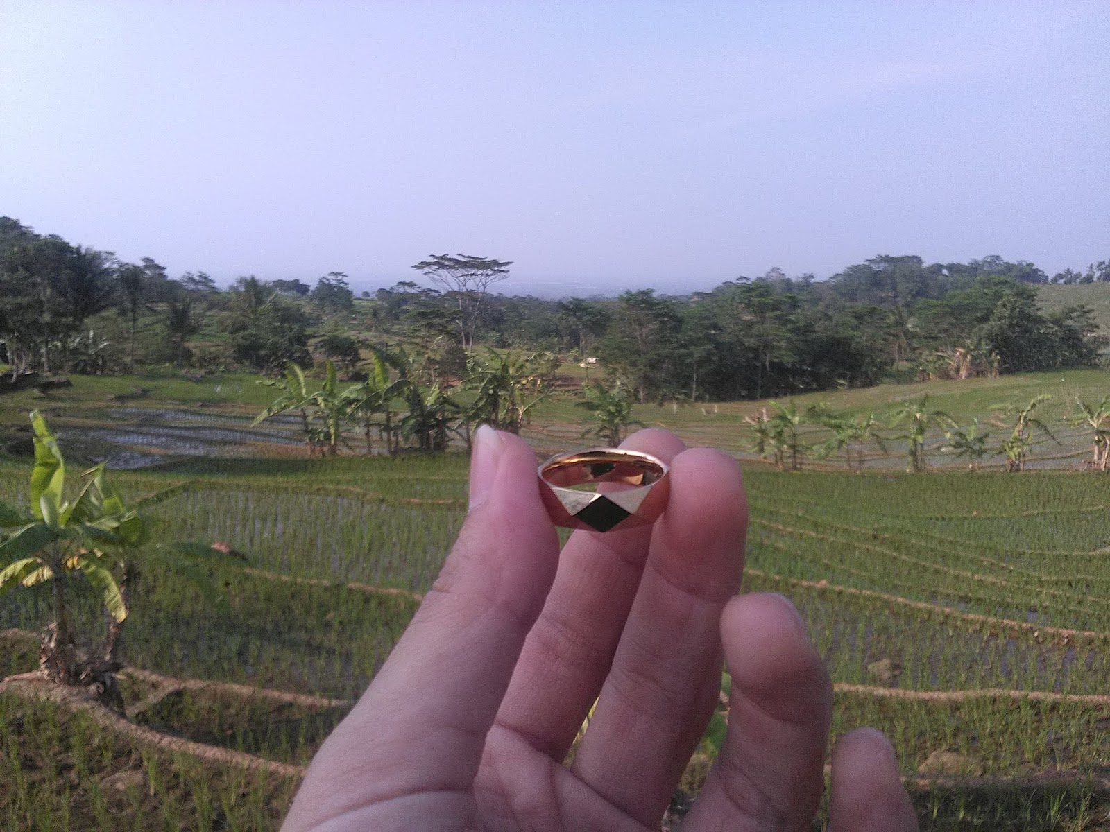 Cincin Tungsten: cincin tungsten warna gold