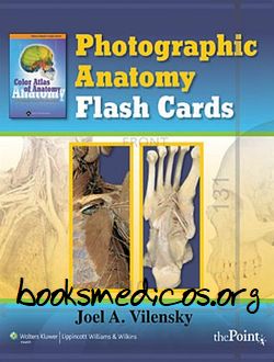 Rohens Photographic Anatomy Flash Cards 1e | booksmedicos
