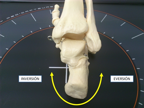 Club Deportivo ANDROX huelva: El Pie del Corredor (II). Movimientos